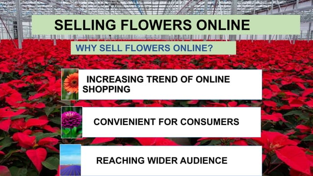 E-Marketing Strategies For Sale Of Flowers By Haroon Nazir.pptx