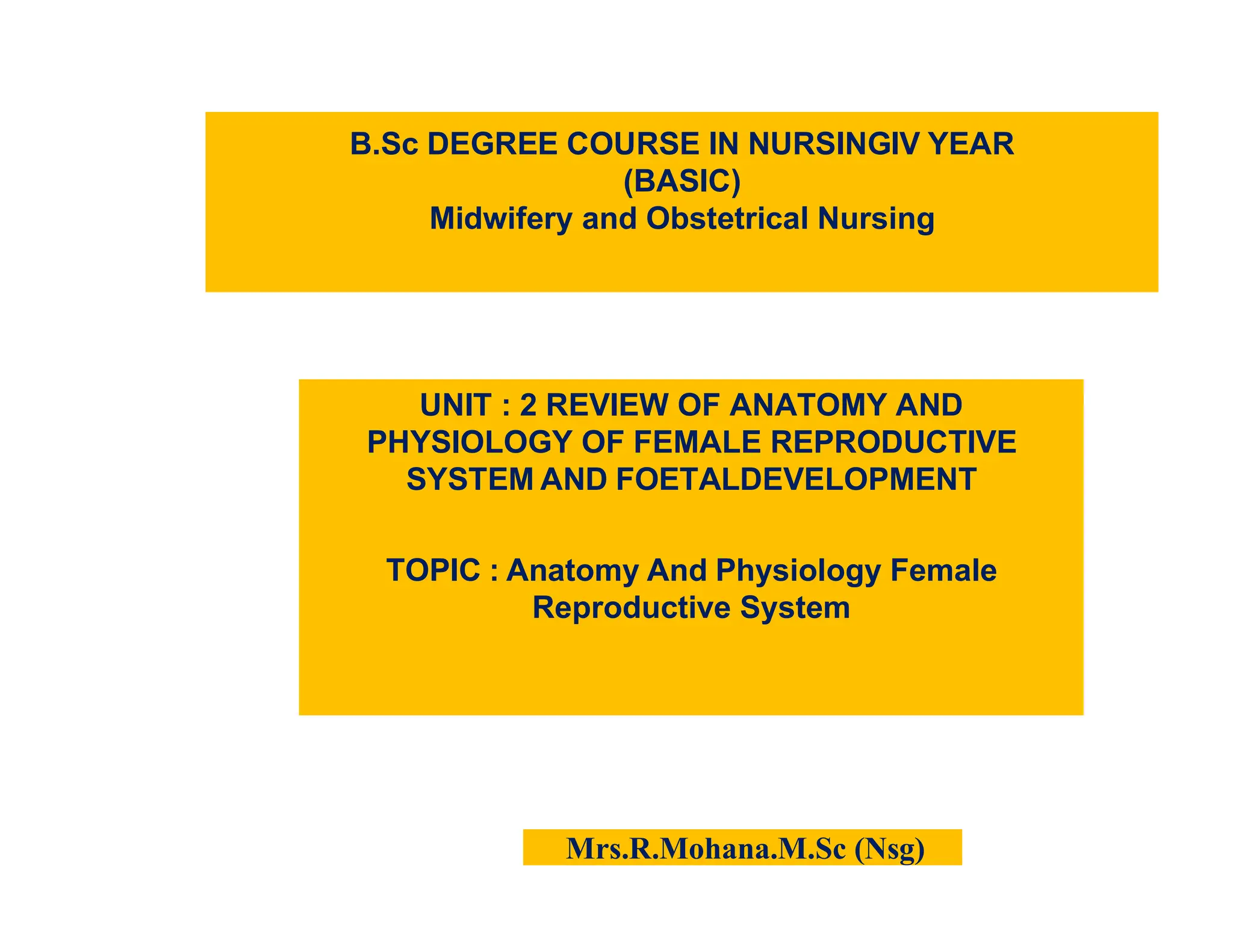 E-Notes-FEMALE-REPRODUCTIVE-SYSTEM.pdfml | PDF