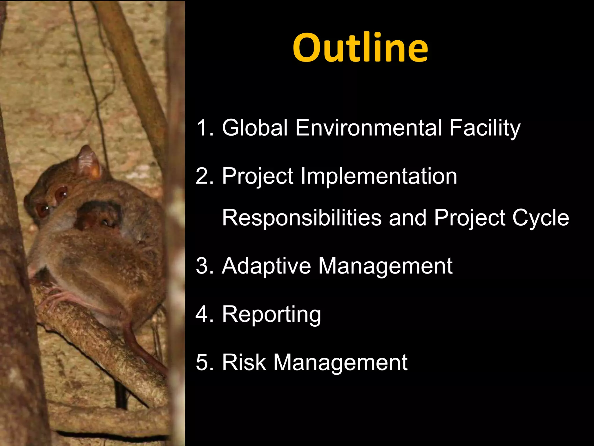 E-PASS Inception Project Management and Oversight | PDF