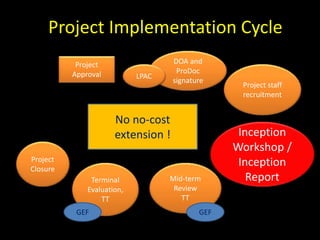 E-PASS Inception Project Management and Oversight | PDF