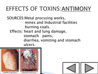 E pollution | PPTX | Environmental Services Industry | Industries
