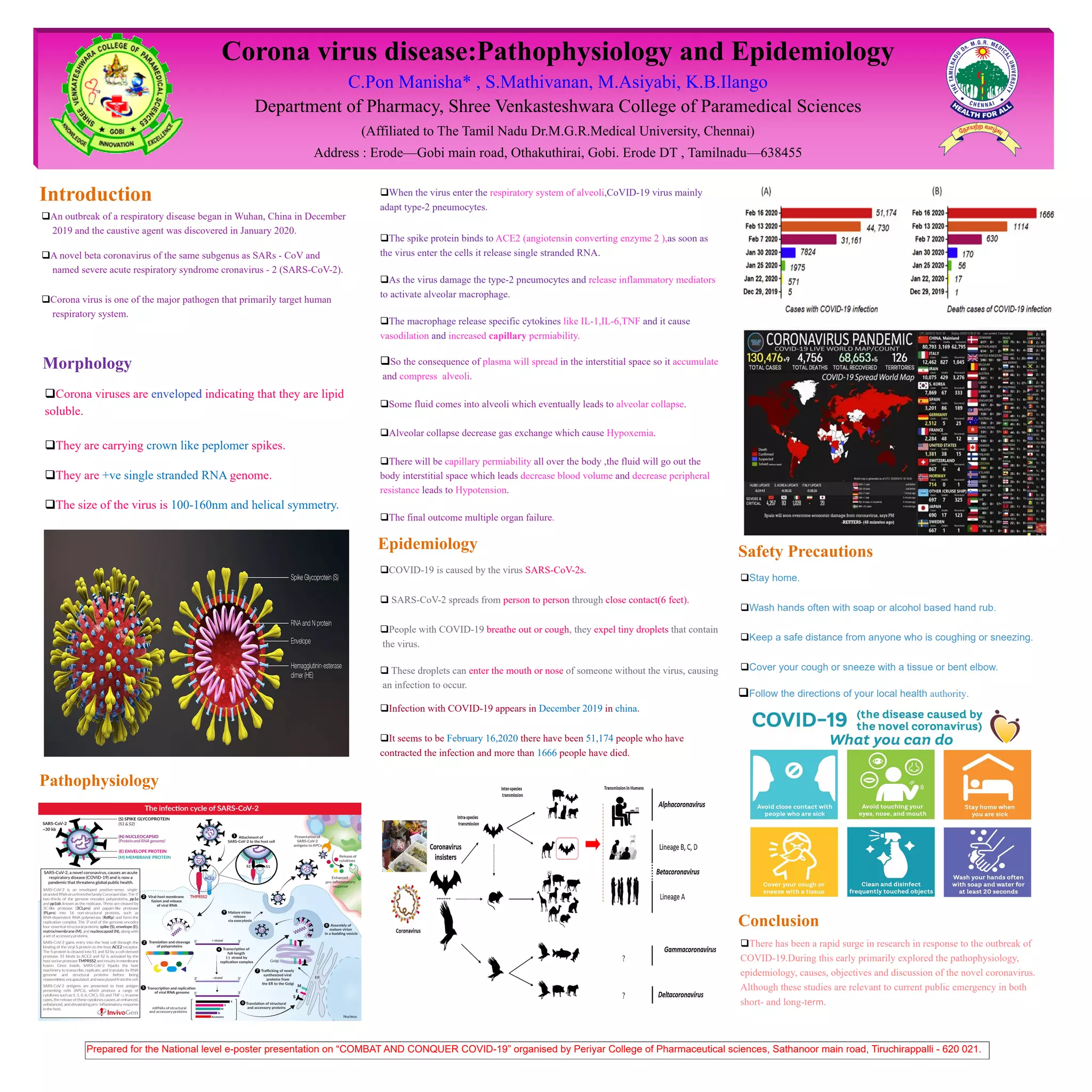 Pathophysiology and epidemiology of COVID-19 e poster | PDF