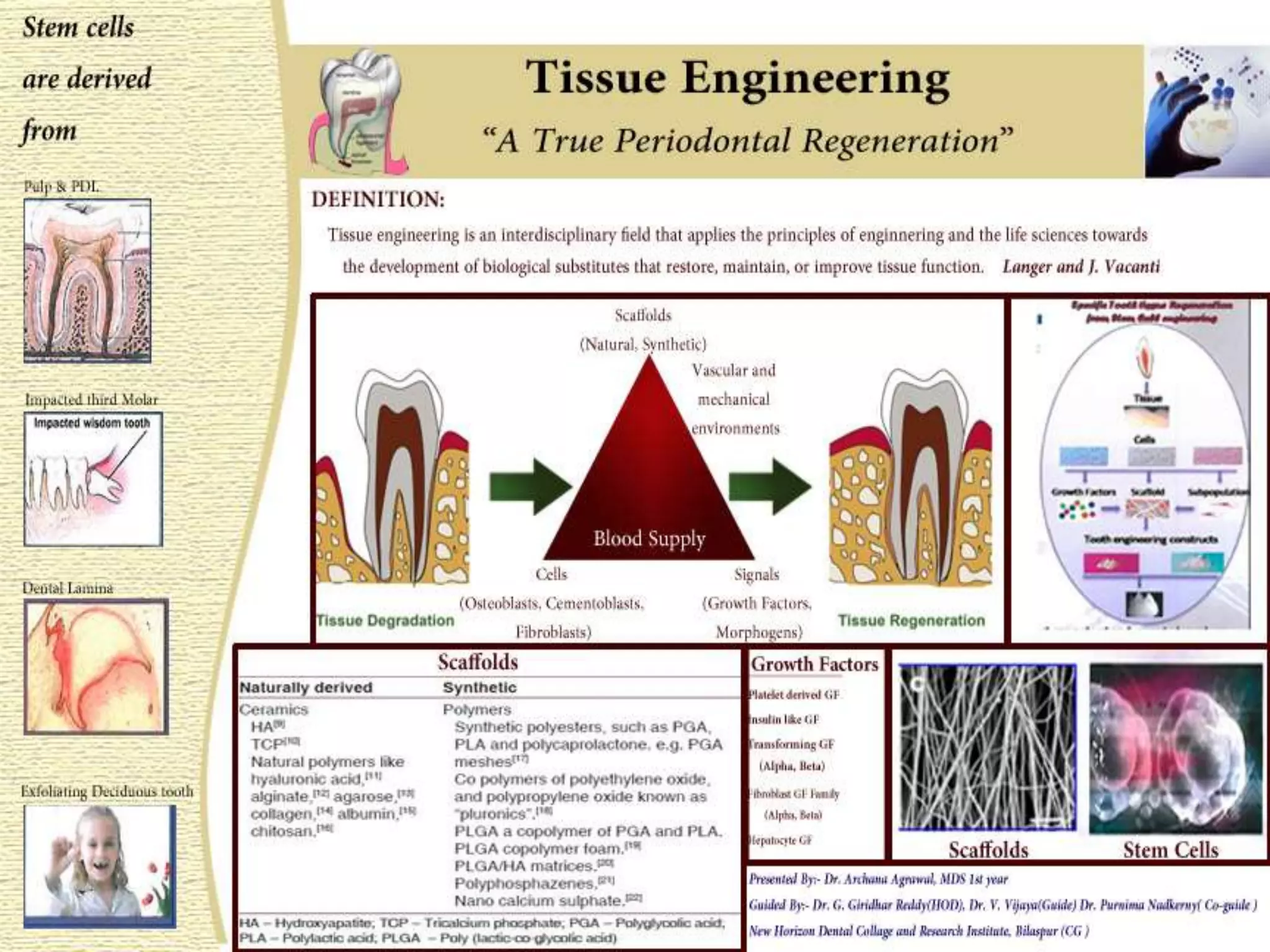 Tissue Engineering E poster ppt | PPTX