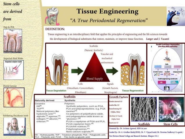 Tissue Engineering E poster ppt | PPTX
