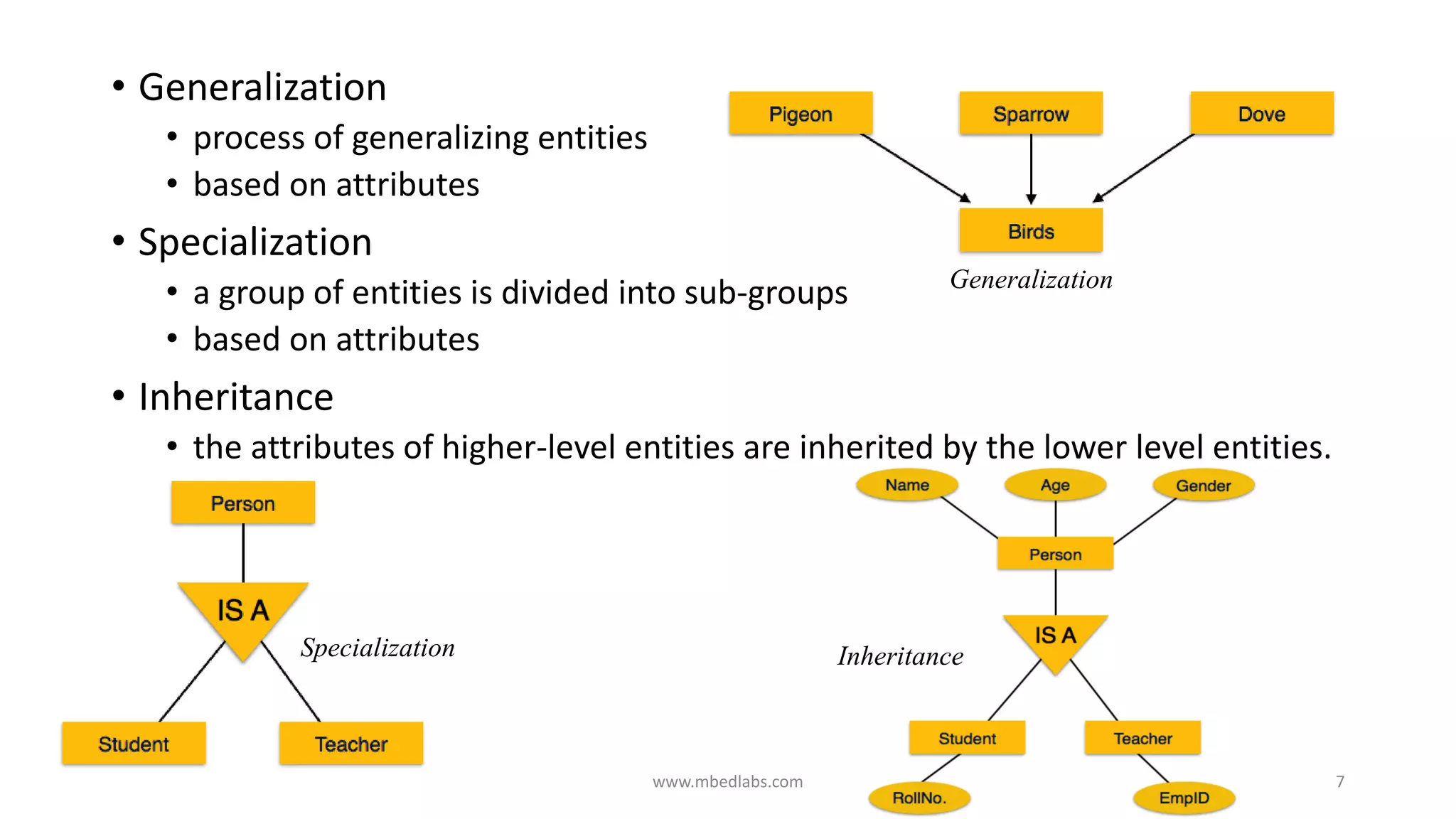 Entity Relationship diagrams - ER diagrams | PDF | Databases | Computer Software and Applications