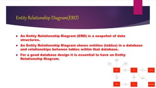 E r model | PPT