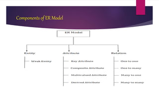 E r model | PPTX