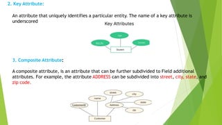 E - R Models.pptx SQL and plsql database | PPT