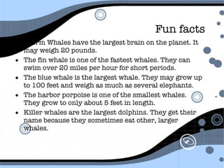 Whales | PPT