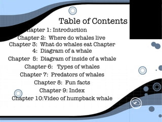 Whales | PPT