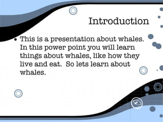 Whales | PPT