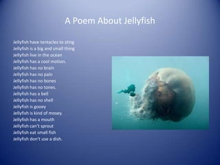 Jellyfish | PPTX