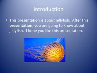 Jellyfish | PPTX | Fish and Aquariums | Pets