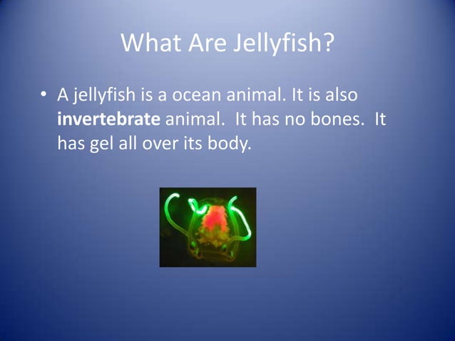 Jellyfish | PPTX | Fish and Aquariums | Pets