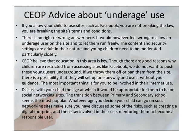 E safety-slide-presentation | PDF | Social Networking | Internet