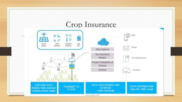 ICT - an introduction in Government setup | PPT