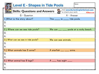 E - Shapes in Tide Pools | PPT
