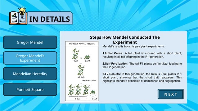 Pattern of inheritance Mendelian Genetics | PPTX