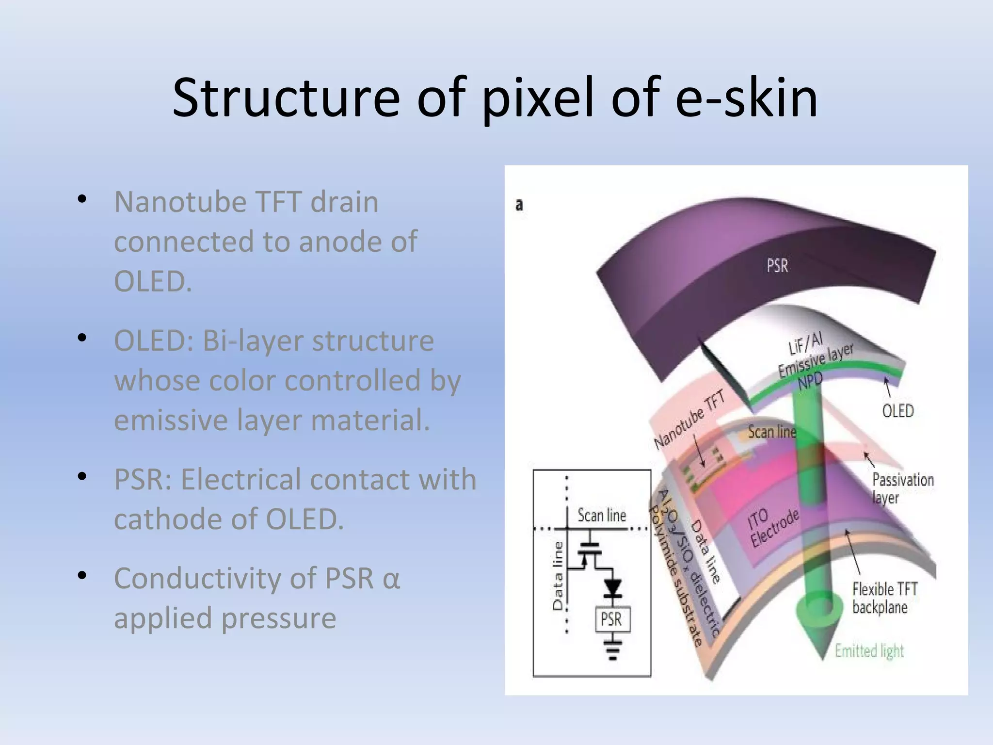 E skin.pptx