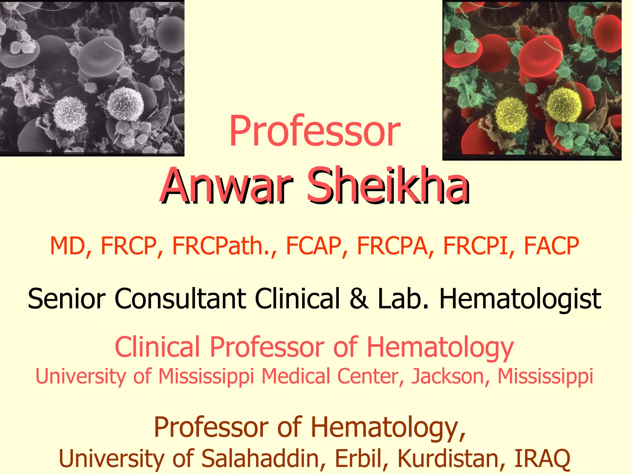 medicine.E. thalassemia.(dr.anwar shexa) | PPT