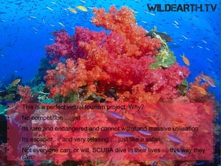 Wild Earth TV | PPT