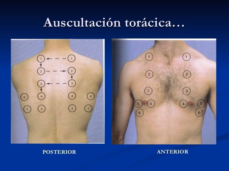 E X A M E N FÍ S I C O D E T O R A X