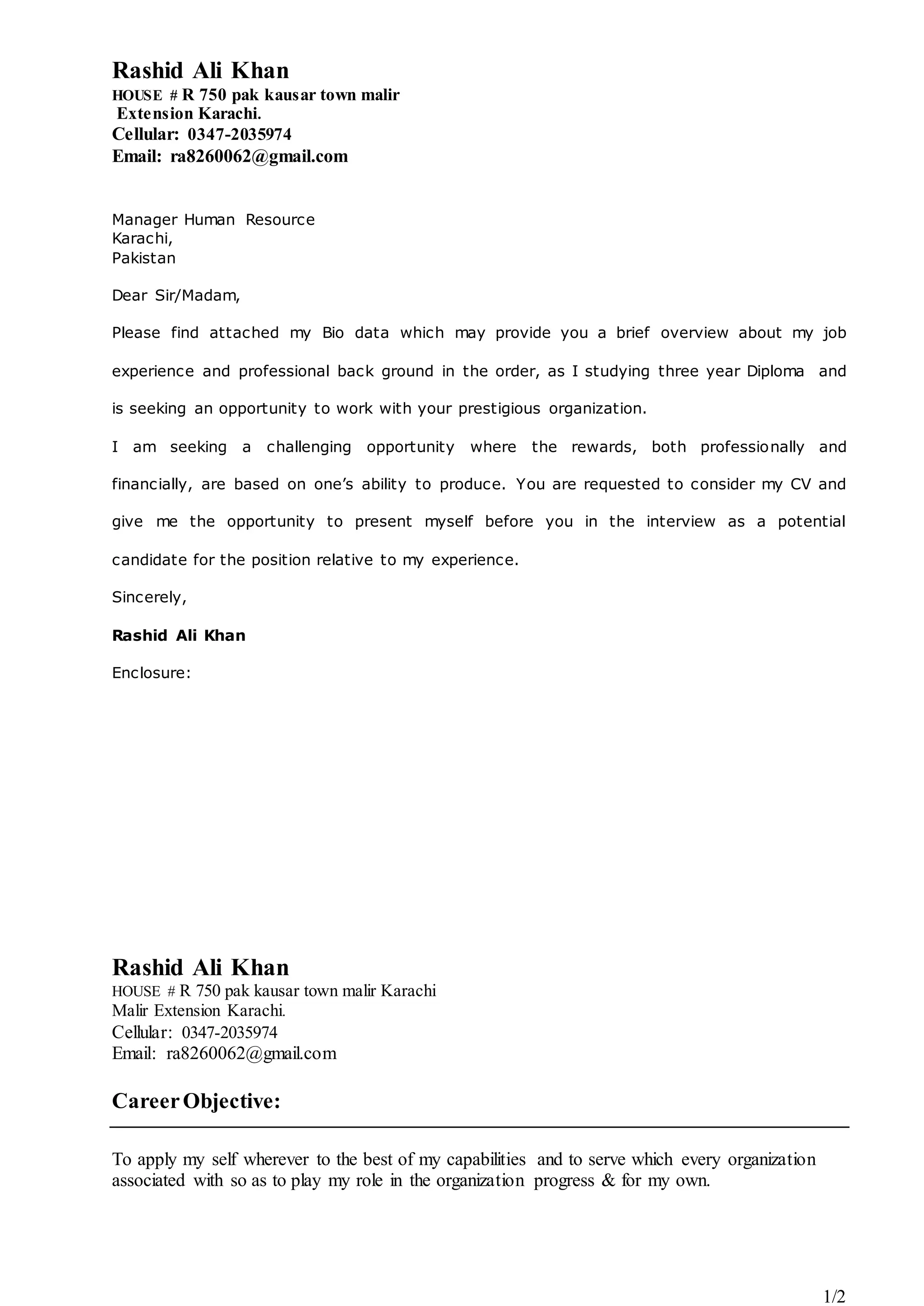 rashidcv new 2 word | DOCX