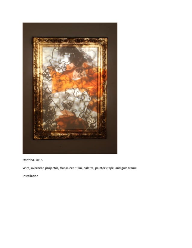 Megan Wachholz Portfolio 3 | PDF