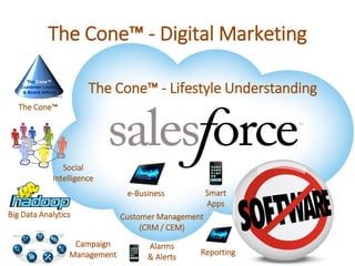 Cone TM Digital Marketing - Principles PDF | PPT