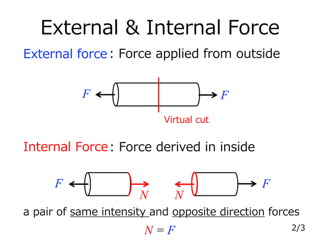 Internal Force | PPTX | Physics | Science