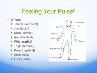 Vital signs group ppt_FINAL | PPT