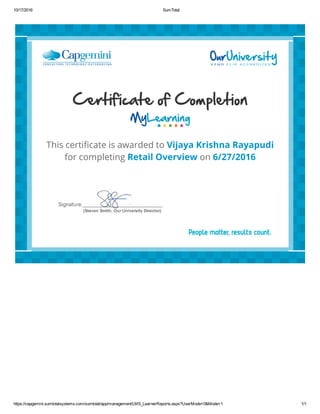 Retail domain overview | PDF