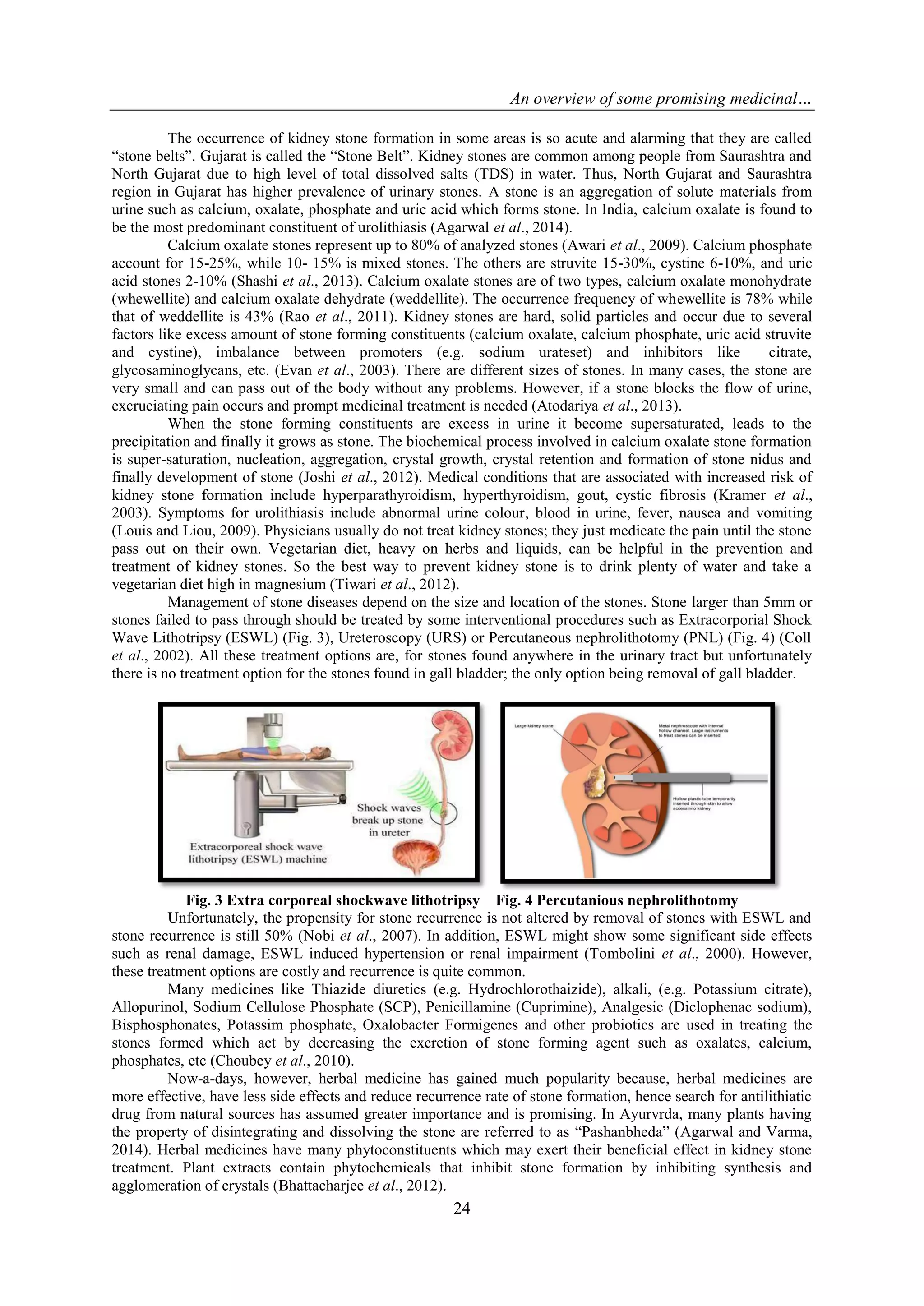 An overview of some promising medicinal plants with in vitro anti ...