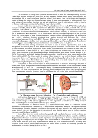 An overview of some promising medicinal plants with in vitro anti ...
