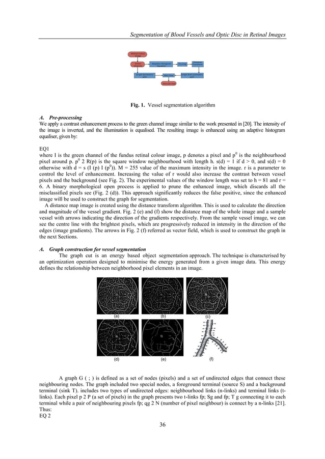 Segmentation of Blood Vessels and Optic Disc in Retinal Images | PDF