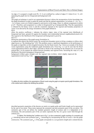 Segmentation of Blood Vessels and Optic Disc in Retinal Images | PDF