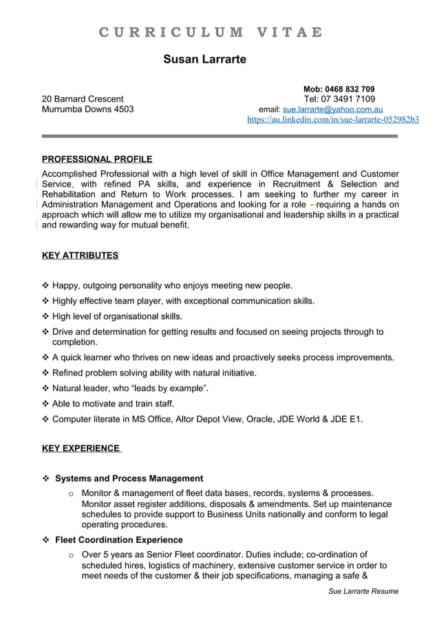 Sue Larrarte - Resume updated | PDF