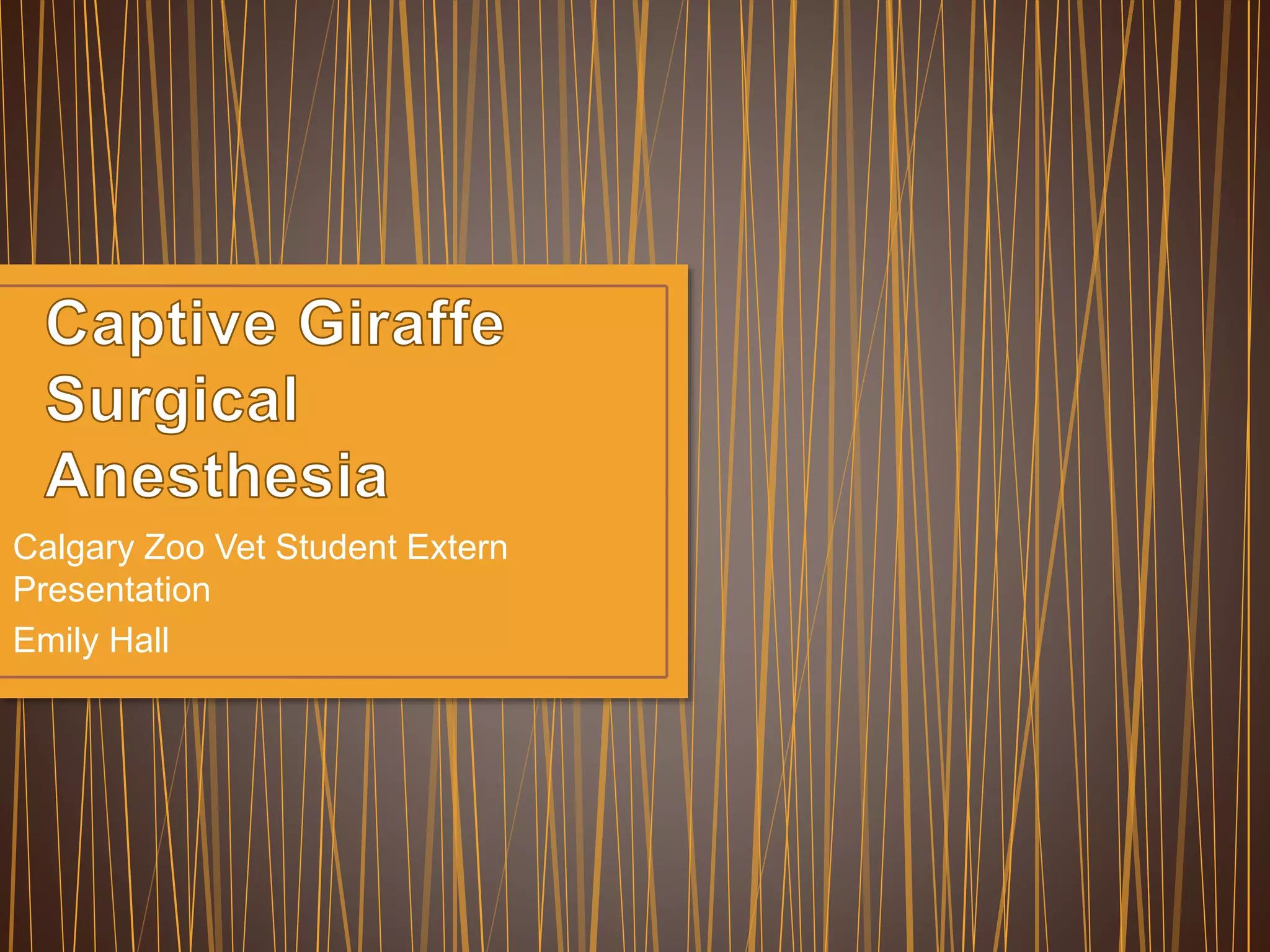 Giraffe Anesthesia Presentation-Emily Hall-2 | PPTX