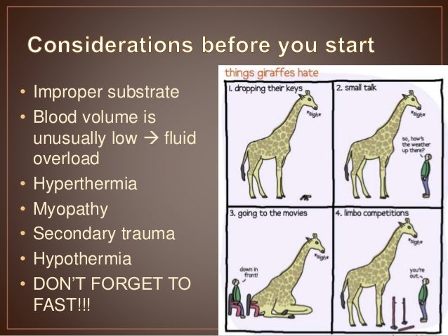 Giraffe Anesthesia Presentation-Emily Hall-2