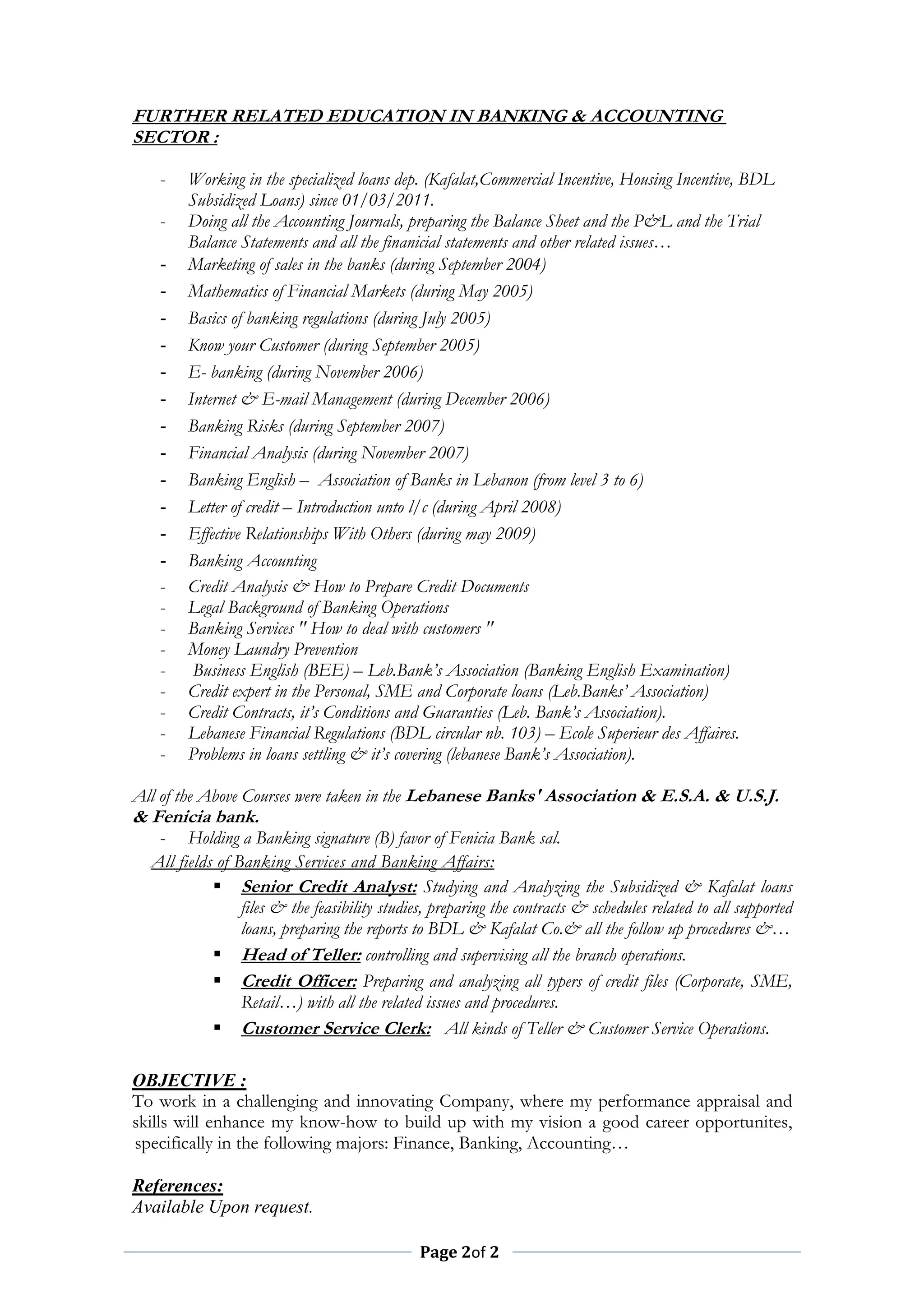 C.V. - Ali Roumani - new | PDF