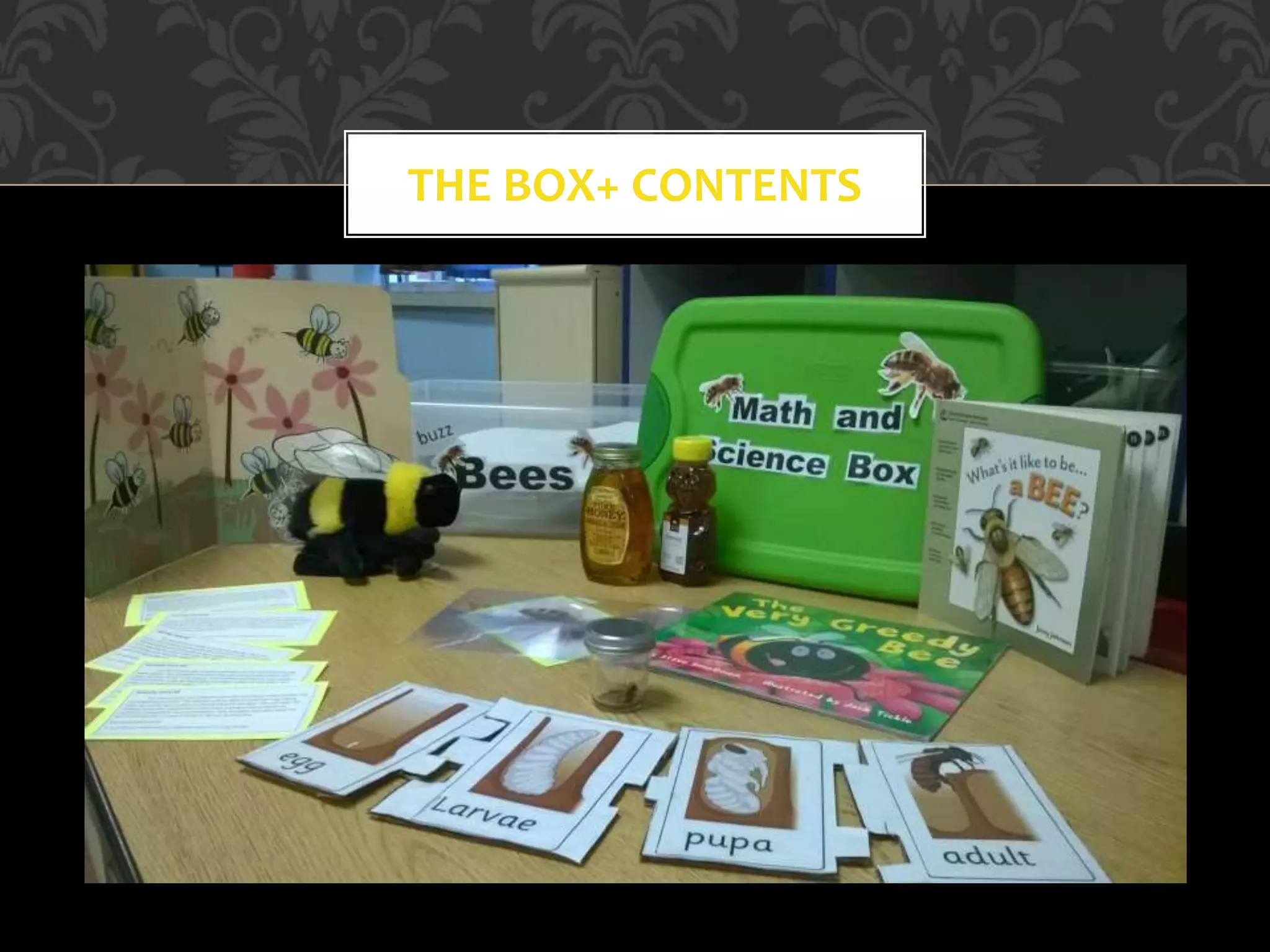 Chandler, Science Shoebox. bees | PPTX | Beekeeping | Hobbies & Interests