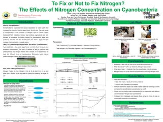 Hellweger - Nitrogen Fixation in Cyanobacteria | PPT
