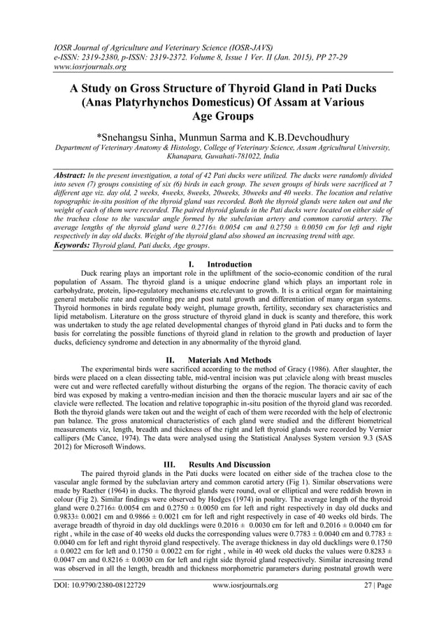 A Study on Gross Structure of Thyroid Gland in Pati Ducks (Anas ...