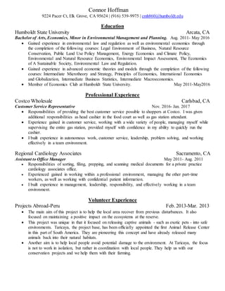 The real Final Resume | DOCX