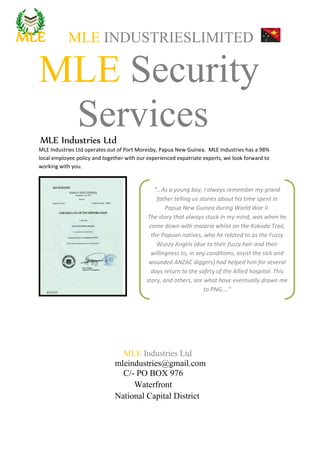 MLE Security Services PROFILE basic | PDF