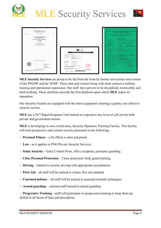 MLE Security Services PROFILE basic | PDF