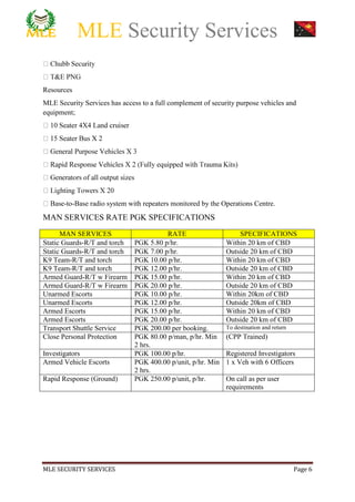 MLE Security Services PROFILE basic | PDF
