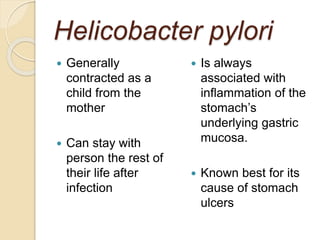 Nobel Prize Presentation 2 | PPT