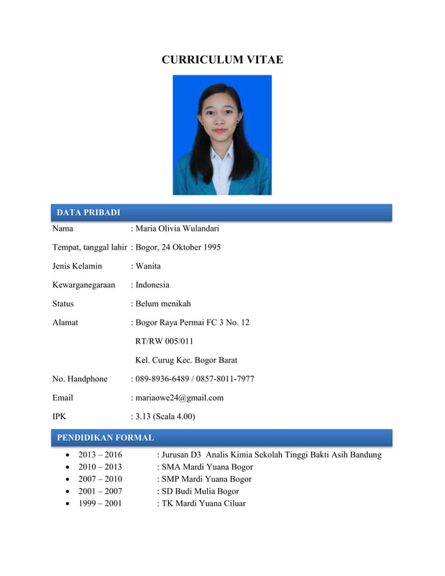 CV dan lampiran | PDF