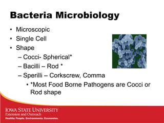 Basic-Microbiology1 | PPT